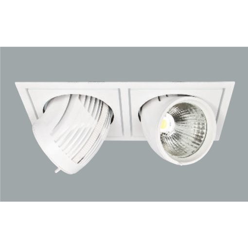 Led Downlights - Zebra Bridgespot Double with 2x32w LED